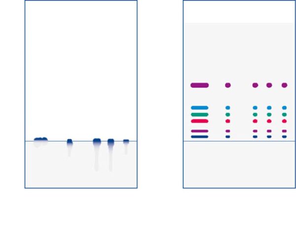 Prep TLC Plates - Sorbtech Preparative TLC | Sorbent Technologies, Inc.