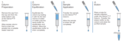 Protein Desalting Columns | Sorbent Technologies, Inc.