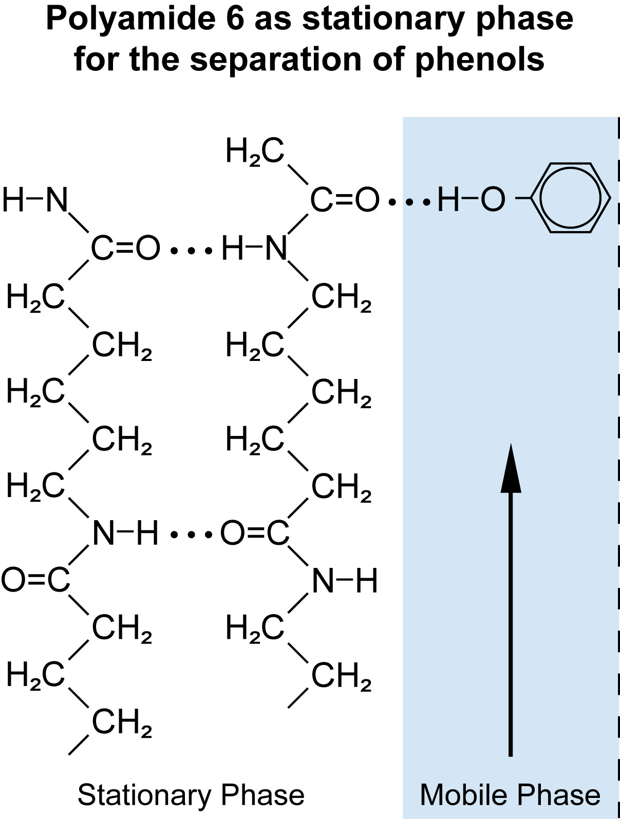 Polyamide 6 | Sorbent Technologies, Inc.